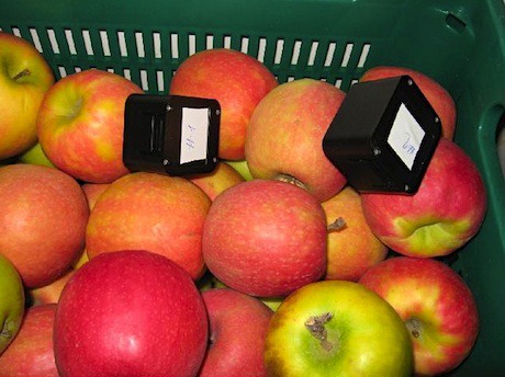 TR Turoni: misurazioni precise anche per i prodotti ortofrutticoli ...