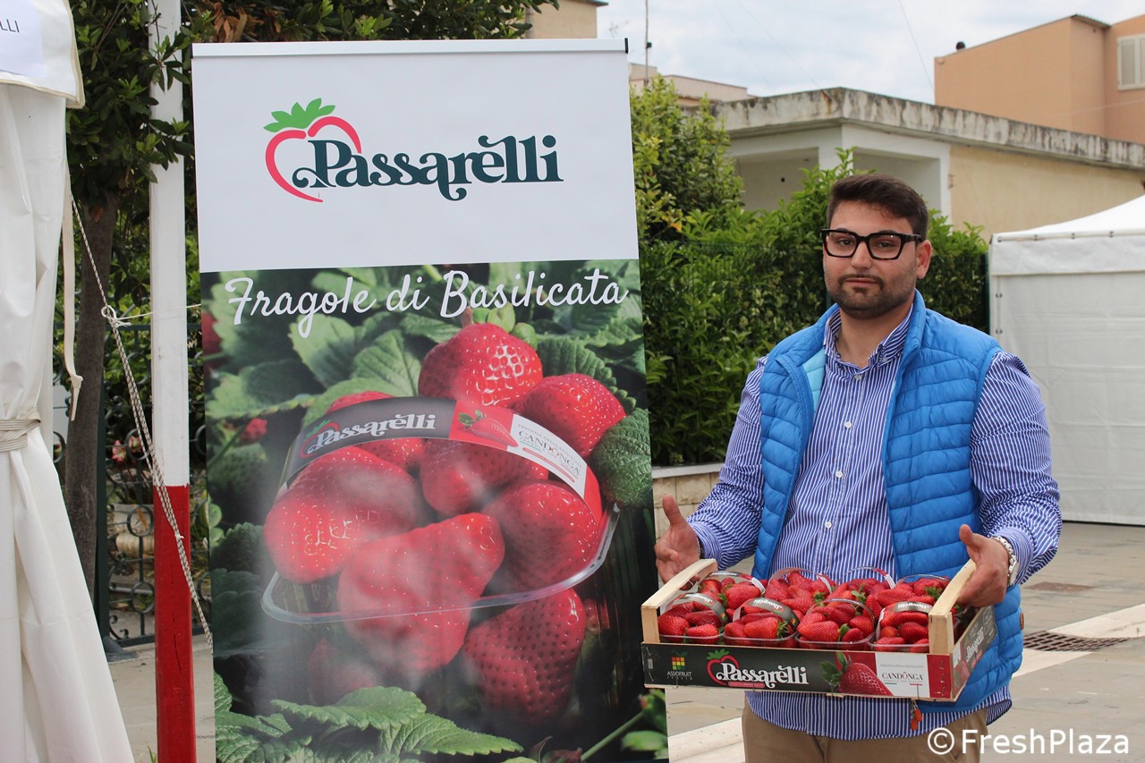 Sagra della Fragola in Basilicata